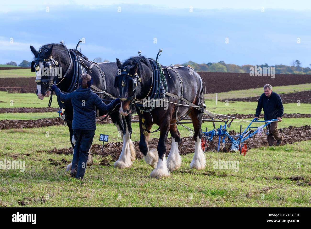 A farmer is tilling the soil in a field using a traditional horse-drawn ...