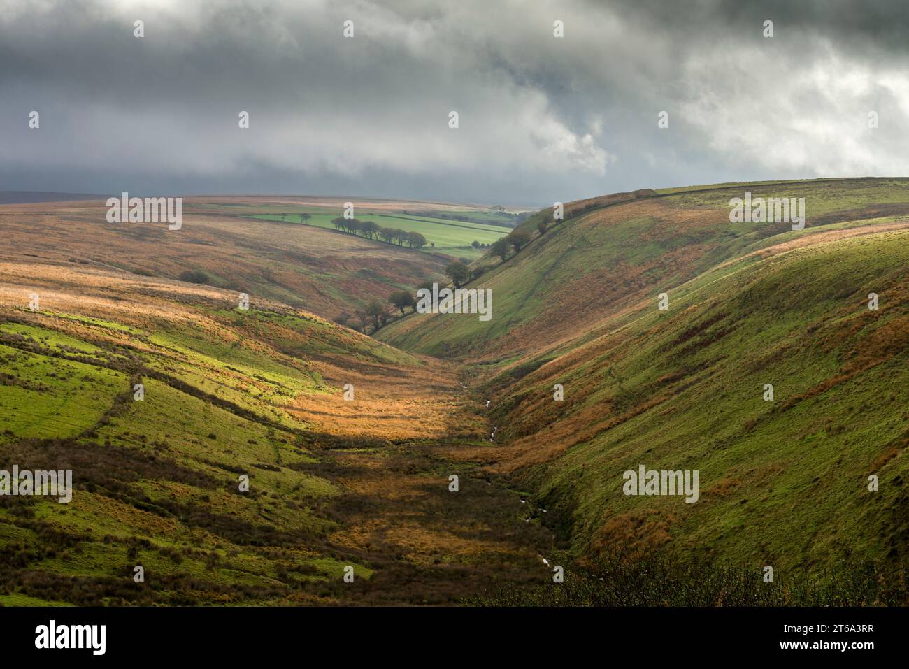 Little ashcombe hi-res stock photography and images - Alamy