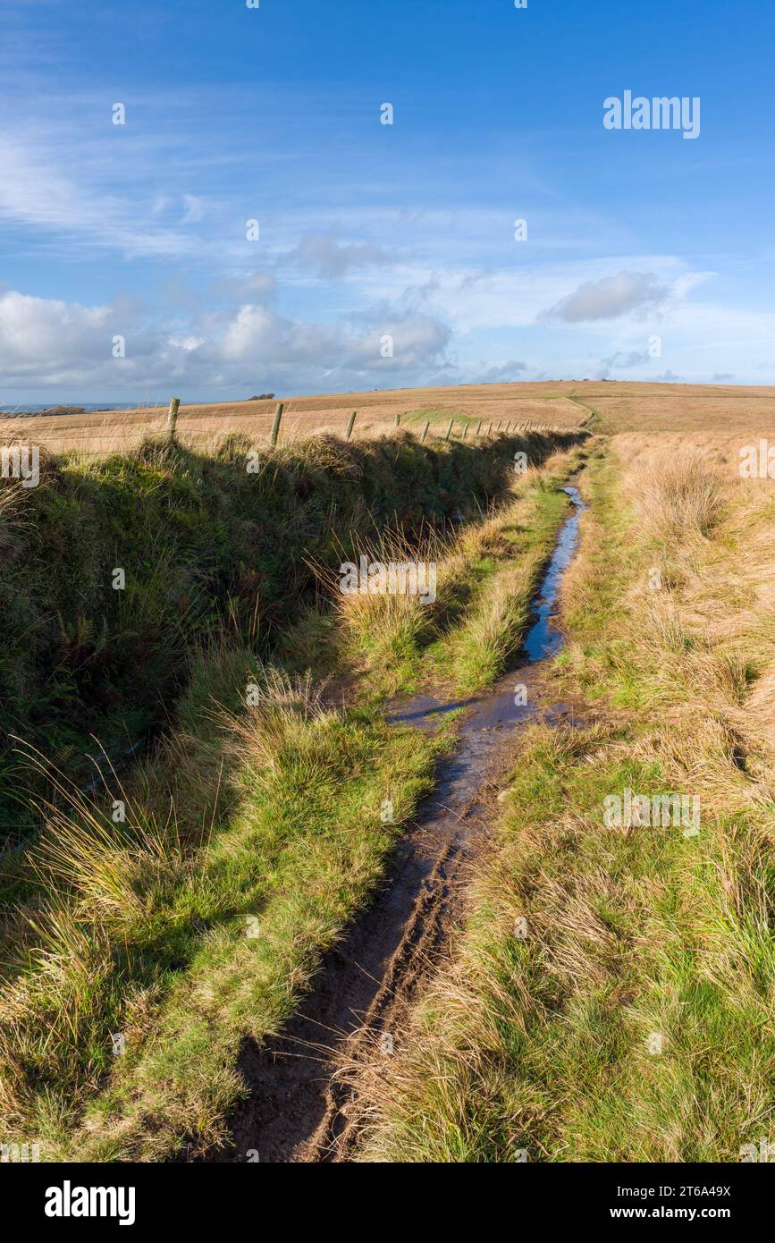 The Tarka Trail walking route along an earth bank between Exe Head and ...