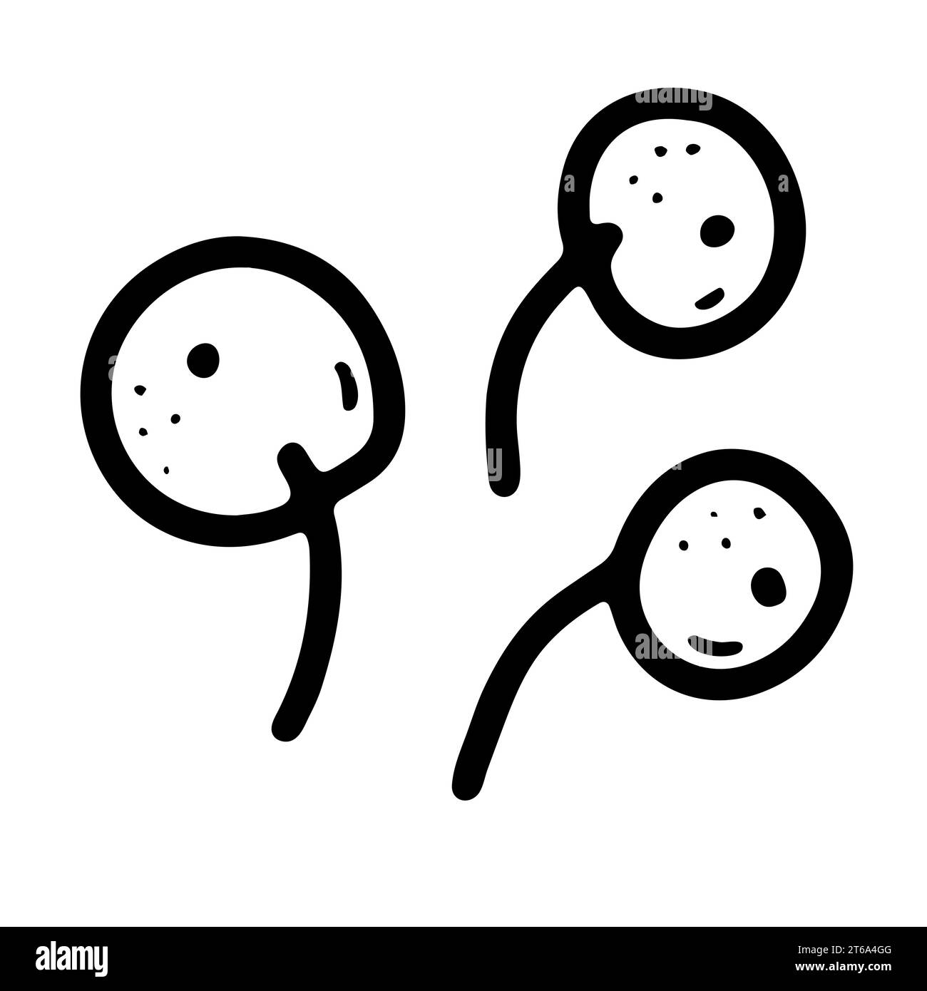 Vector cute drawn fruit Black and White Stock Photos & Images - Alamy