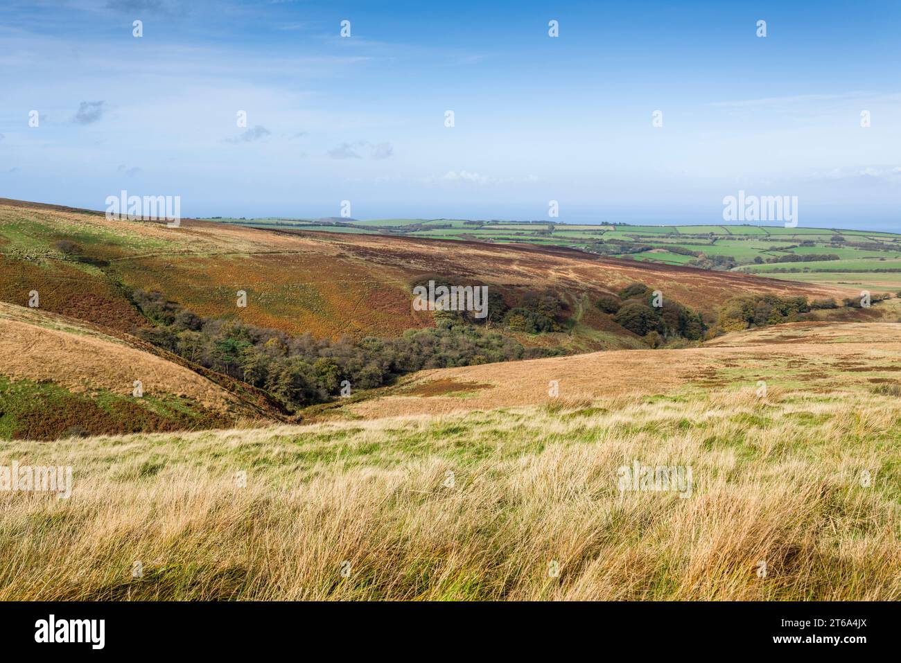 Barbrook Valley and Thornworthy Little Common on The Chains in Exmoor ...