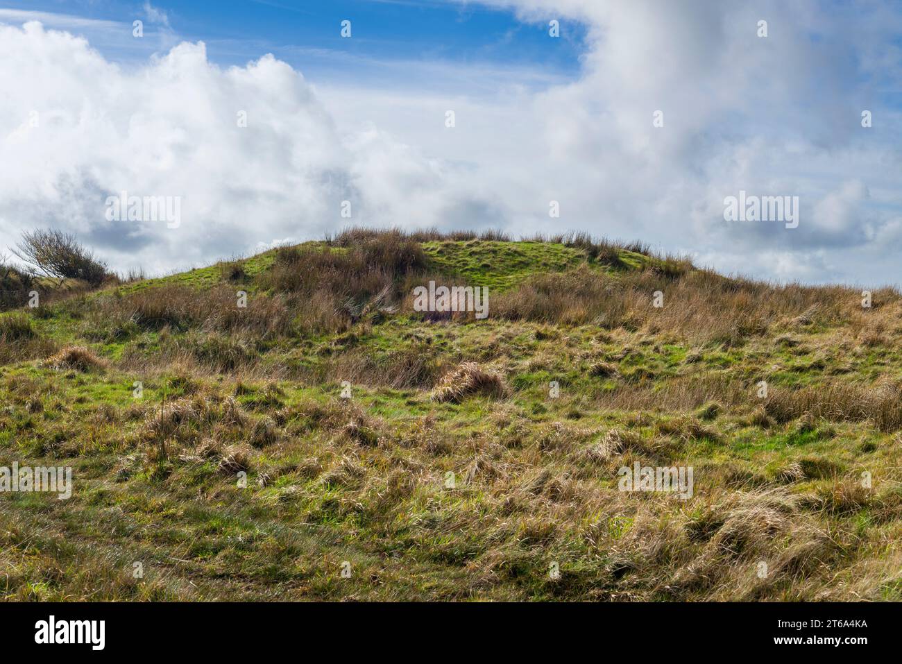 Wood Barrow Scheduled Monument, a Bronze Age bowl barrow on The Chains ...