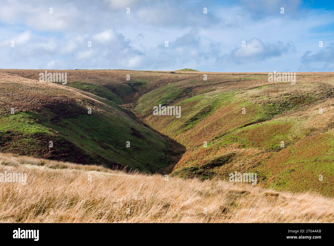 Woodbarrow Hangings on The Chains in Exmoor National Park, Devon ...