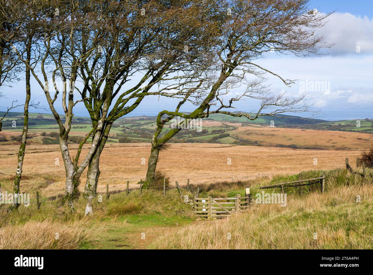 Saddle Gate on the north side of The Chains in Exmoor National Park ...