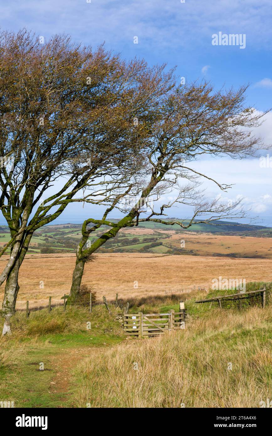 Saddle Gate on the north side of The Chains in Exmoor National Park ...