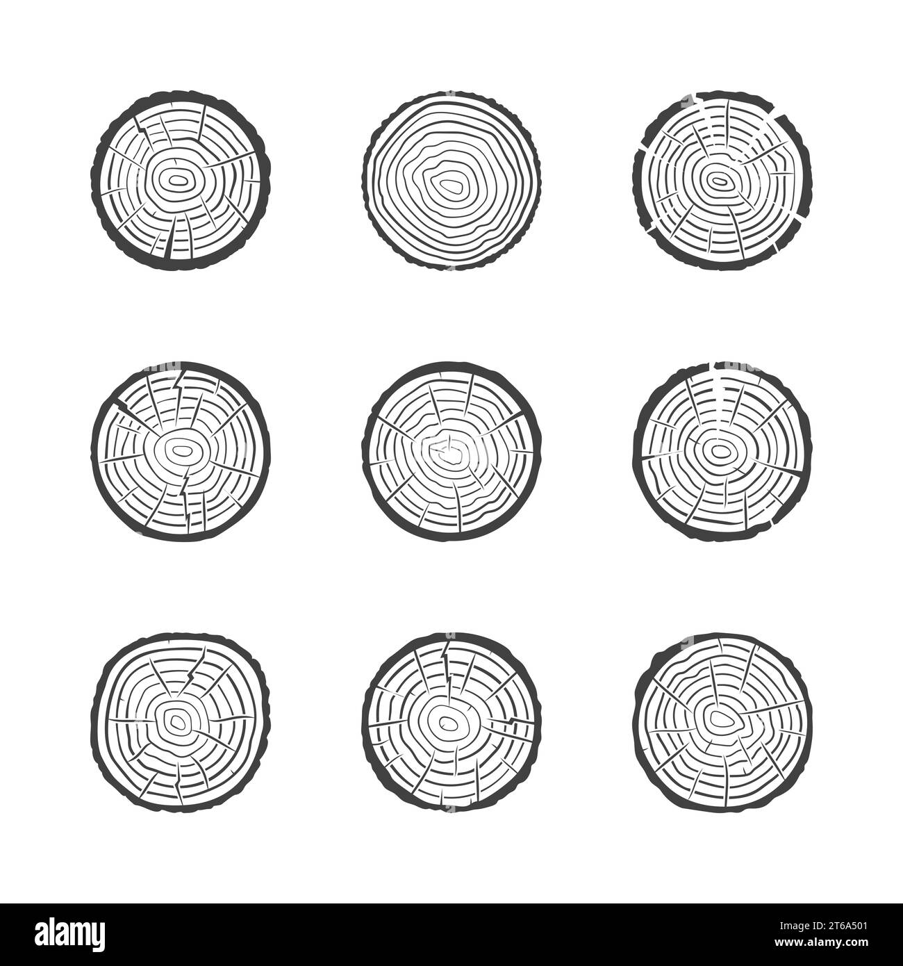 Tree Growth Rings concept icons set. Vector Saw Cut Trunk symbols or ...