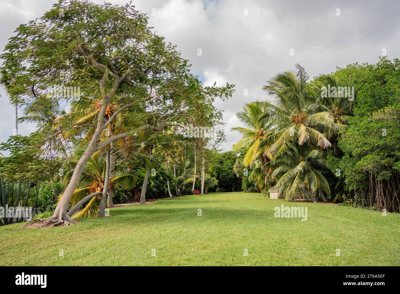 Tropical landcsapes hi-res stock photography and images - Alamy