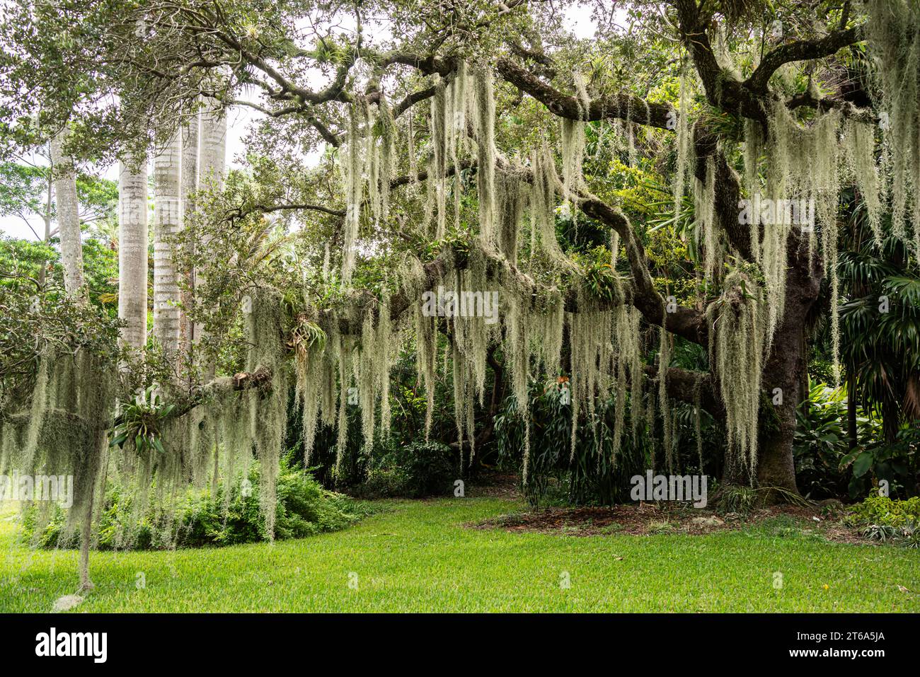 The Kampong, National Tropical Botanical Garden in Miami, Florida ...