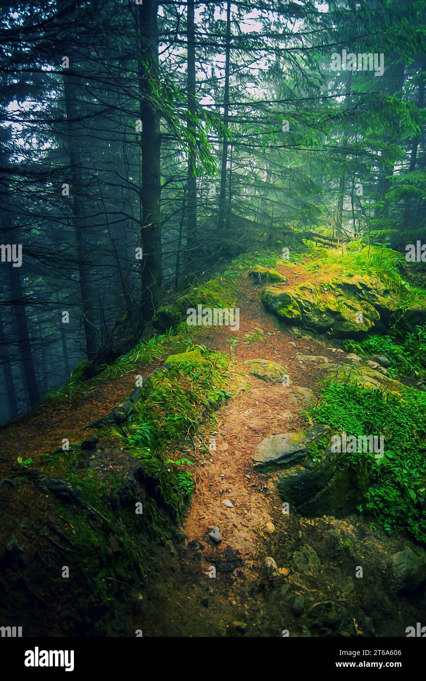 An idyllic, sun-dappled nature trail is visible, lined with lush green ...