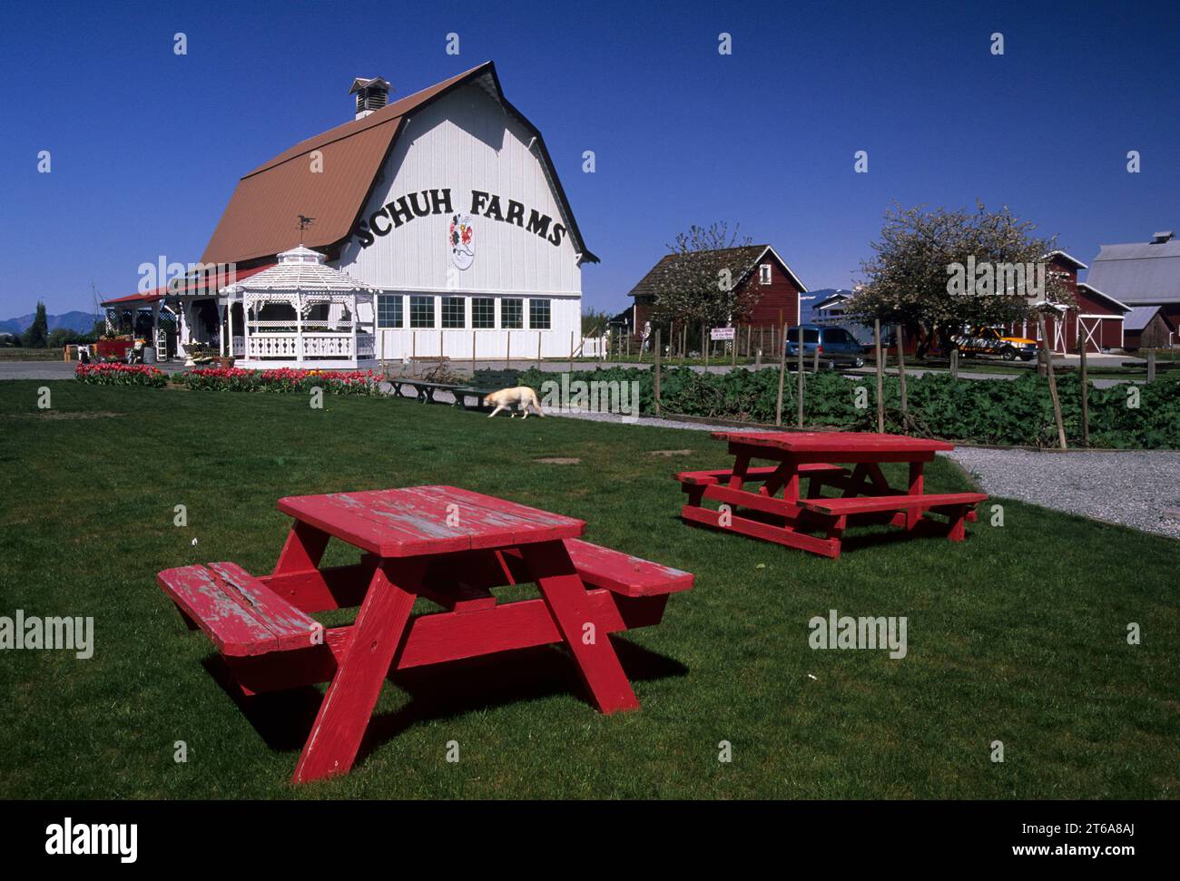 County farm hi-res stock photography and images - Alamy