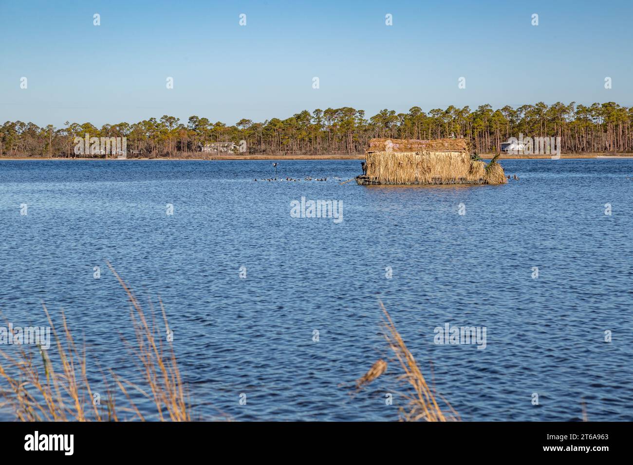 Waterfowl Blind in Big Lagoon at the Gulf Islands National Seashore in ...