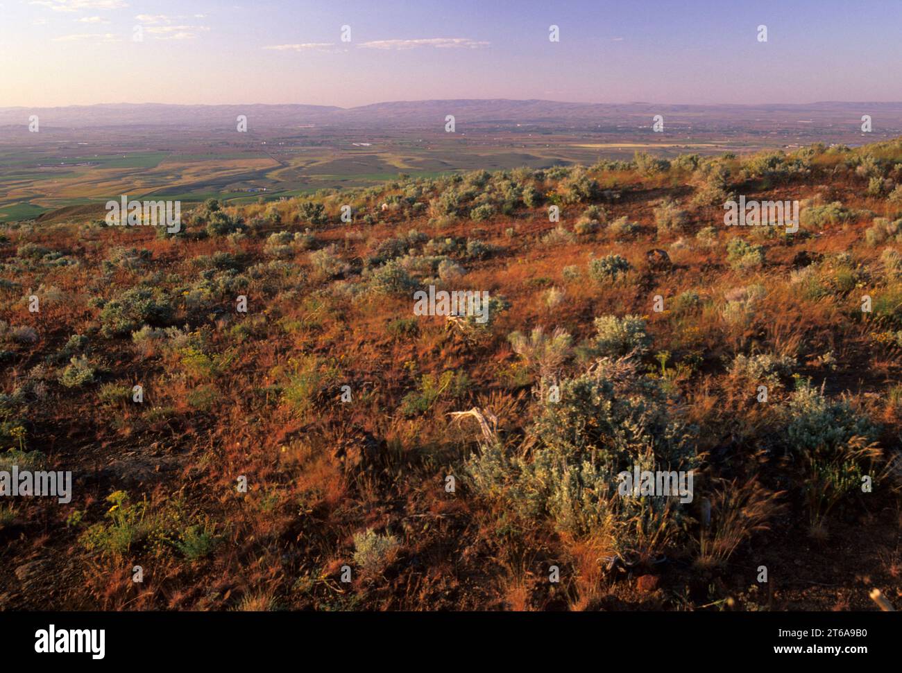 Yakima valley hi-res stock photography and images - Alamy