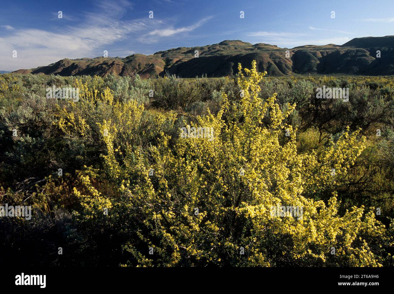 Colville reservation columbia hi-res stock photography and images - Alamy