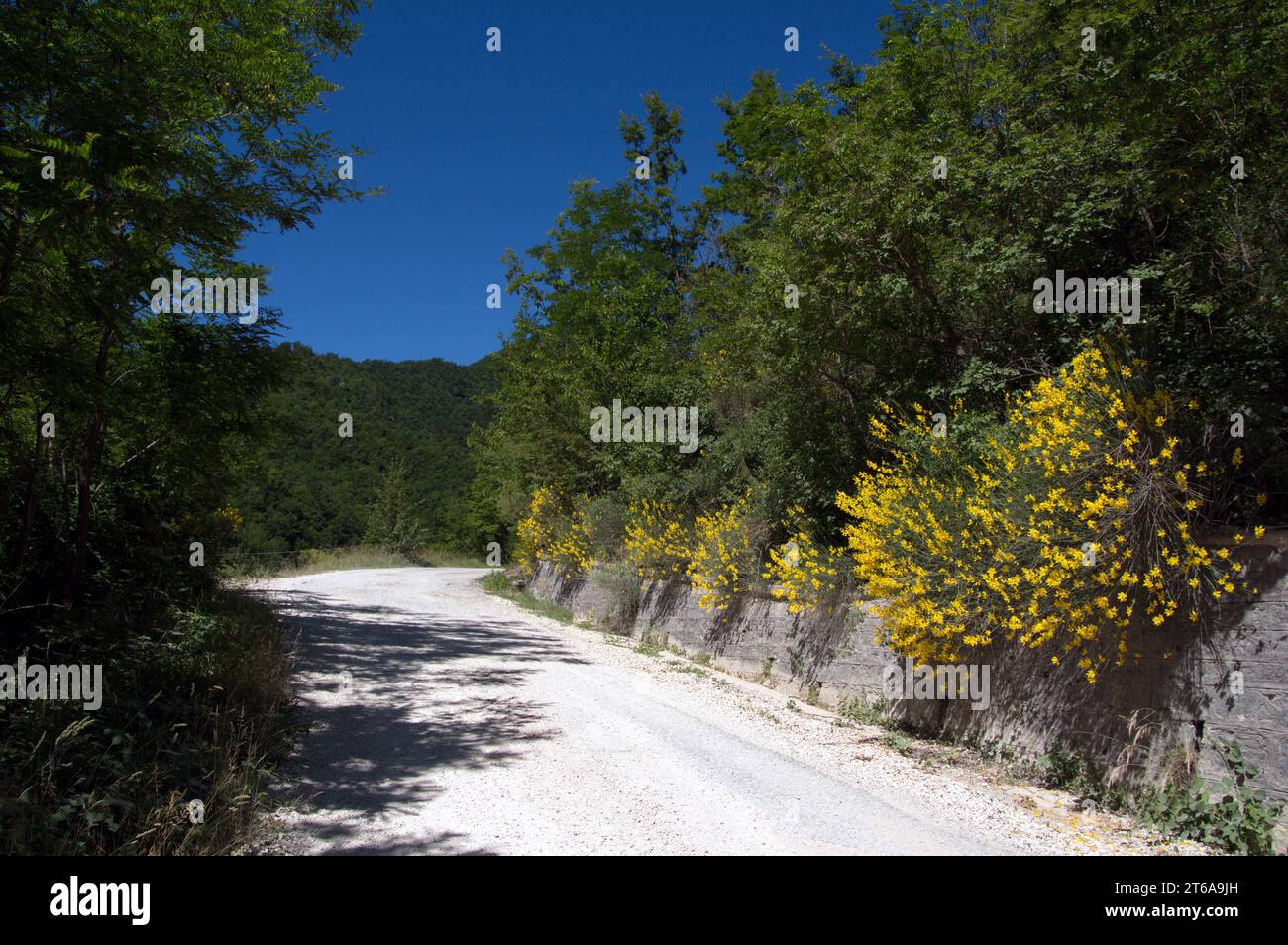 Muro di cemento esterno hi-res stock photography and images - Alamy