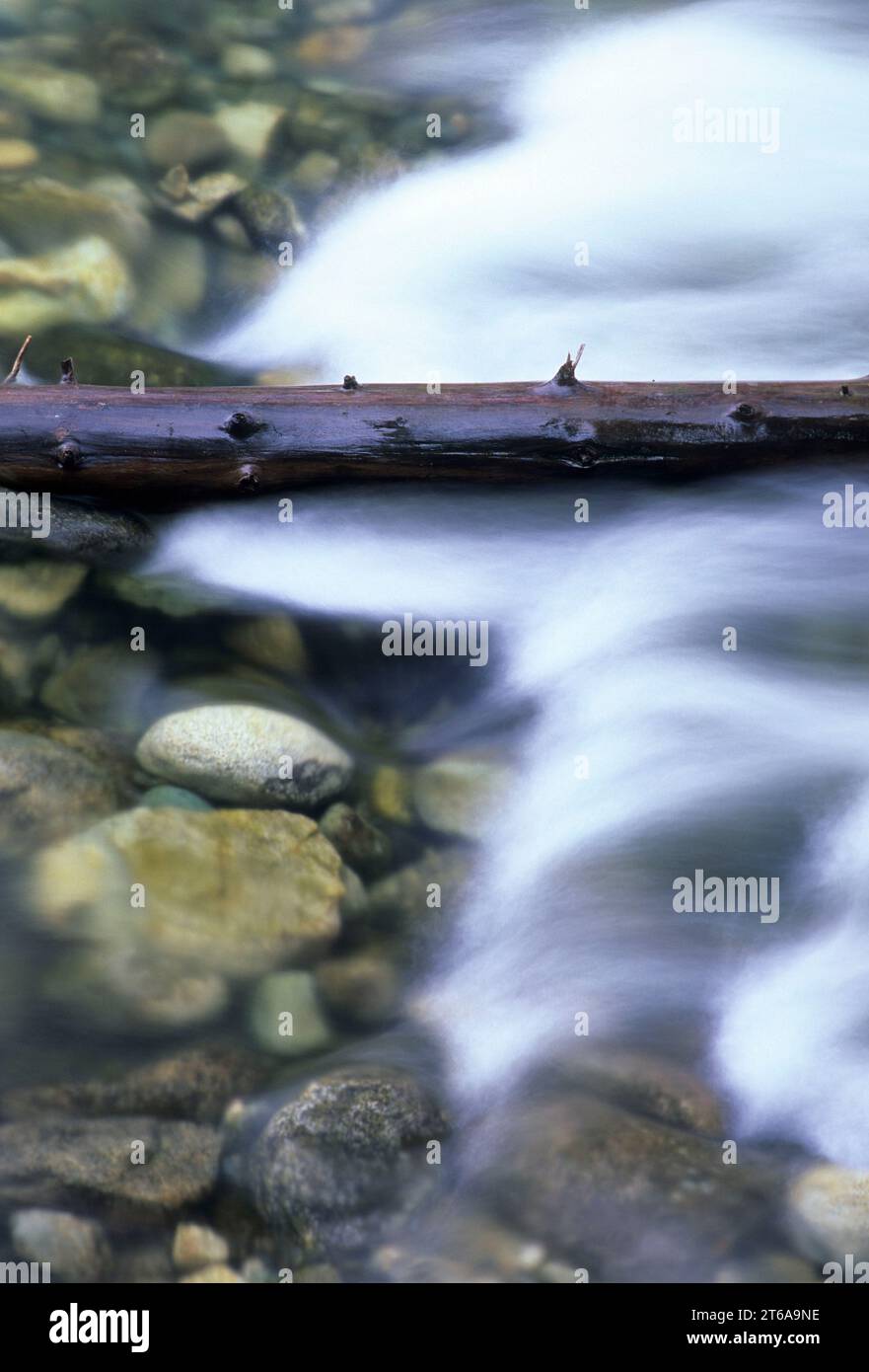 Twisp River, Okanogan National Forest, Washington Stock Photo - Alamy