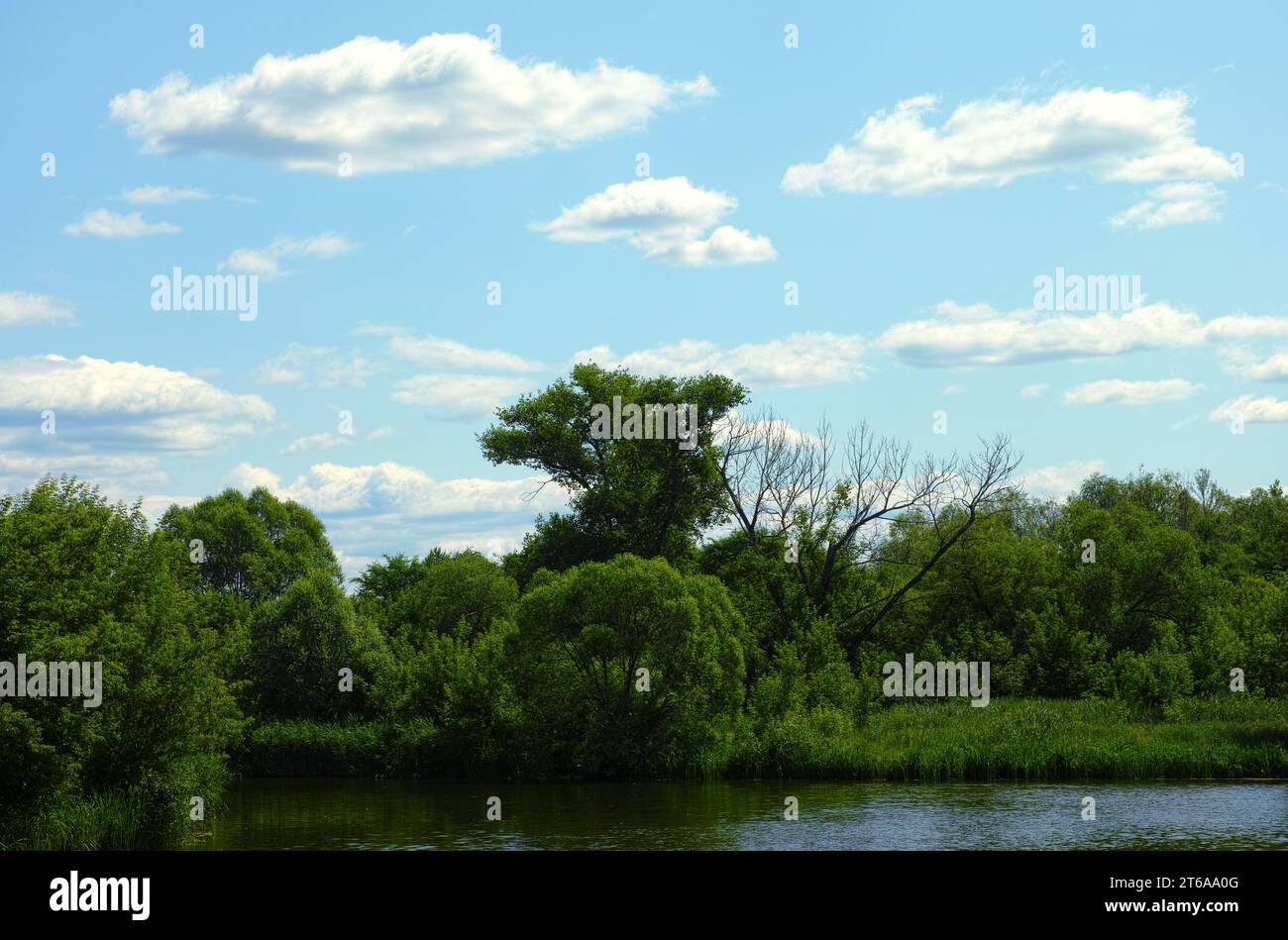 Blue cloudy sky river hi-res stock photography and images - Alamy