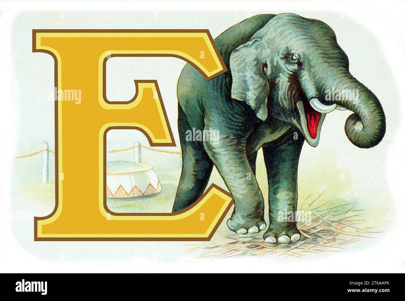 E is for Elephant Stock Photo - Alamy
