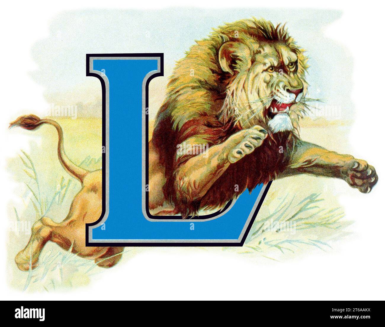 L is for Lion Stock Photo - Alamy