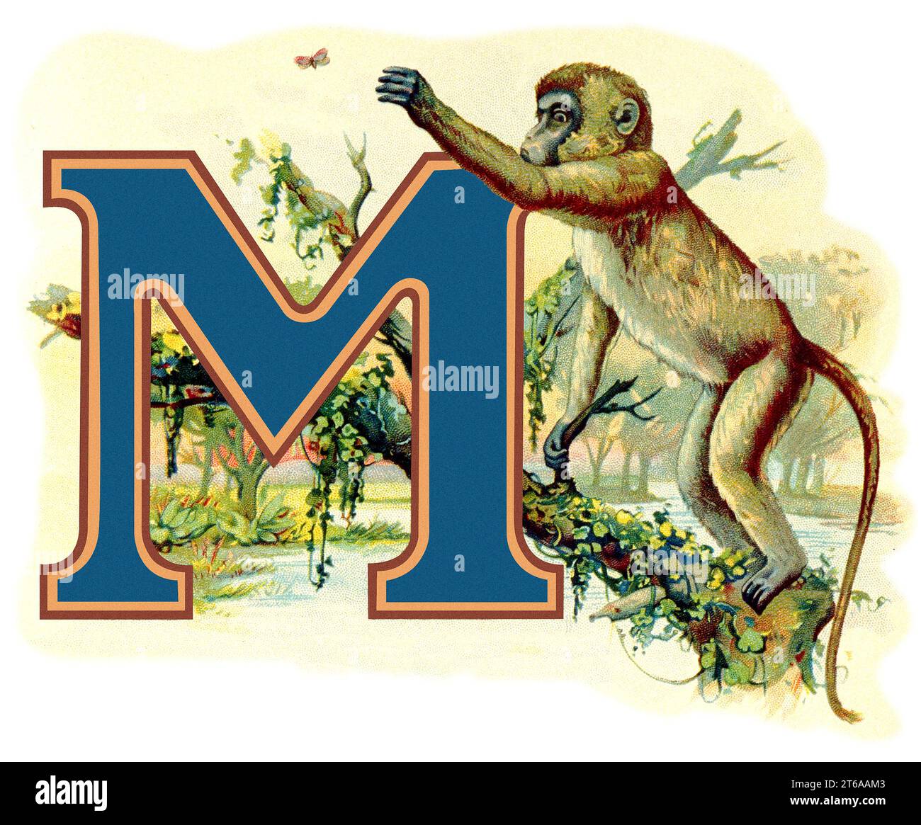 M is for Monkey Stock Photo - Alamy