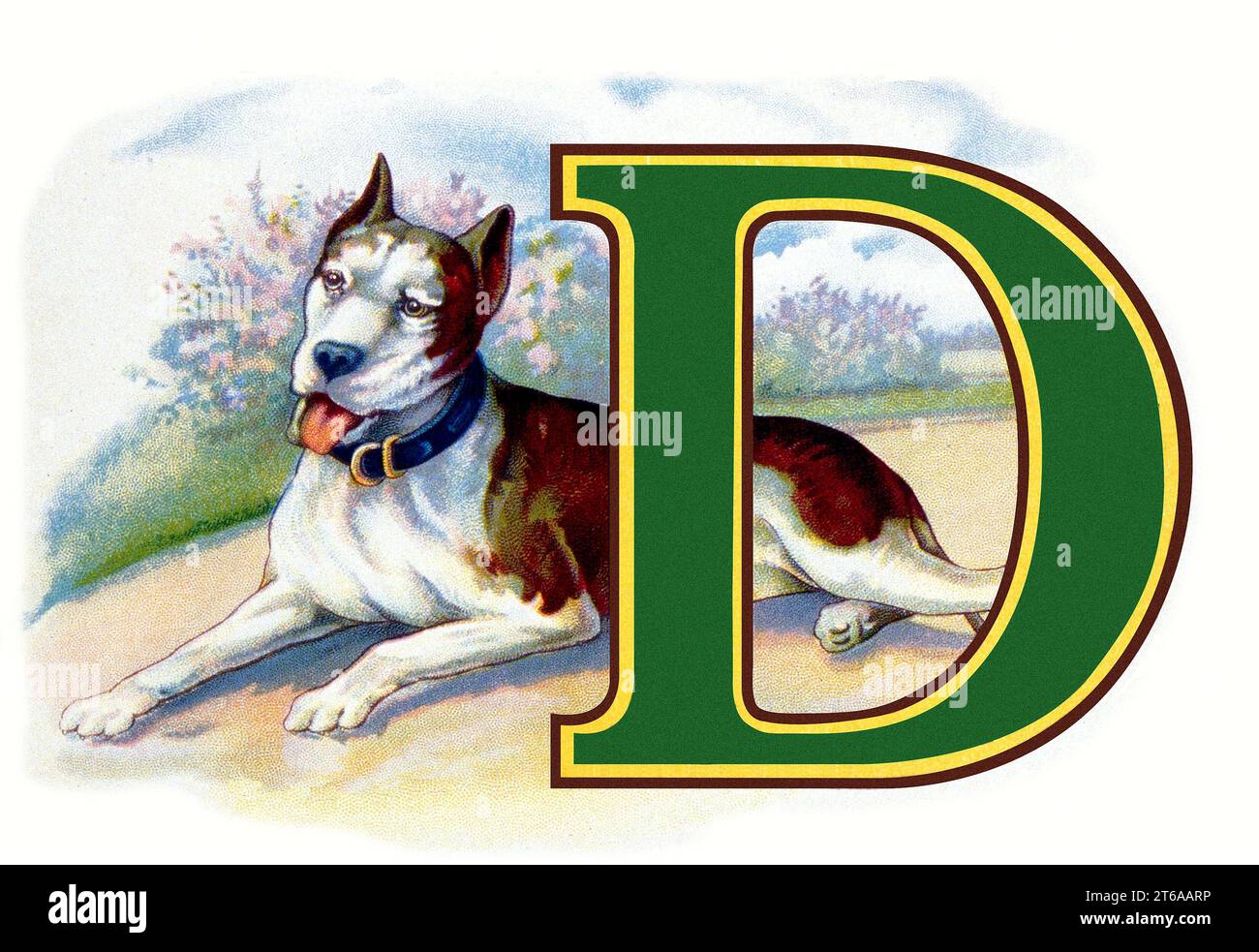 D is for Dog Stock Photo - Alamy