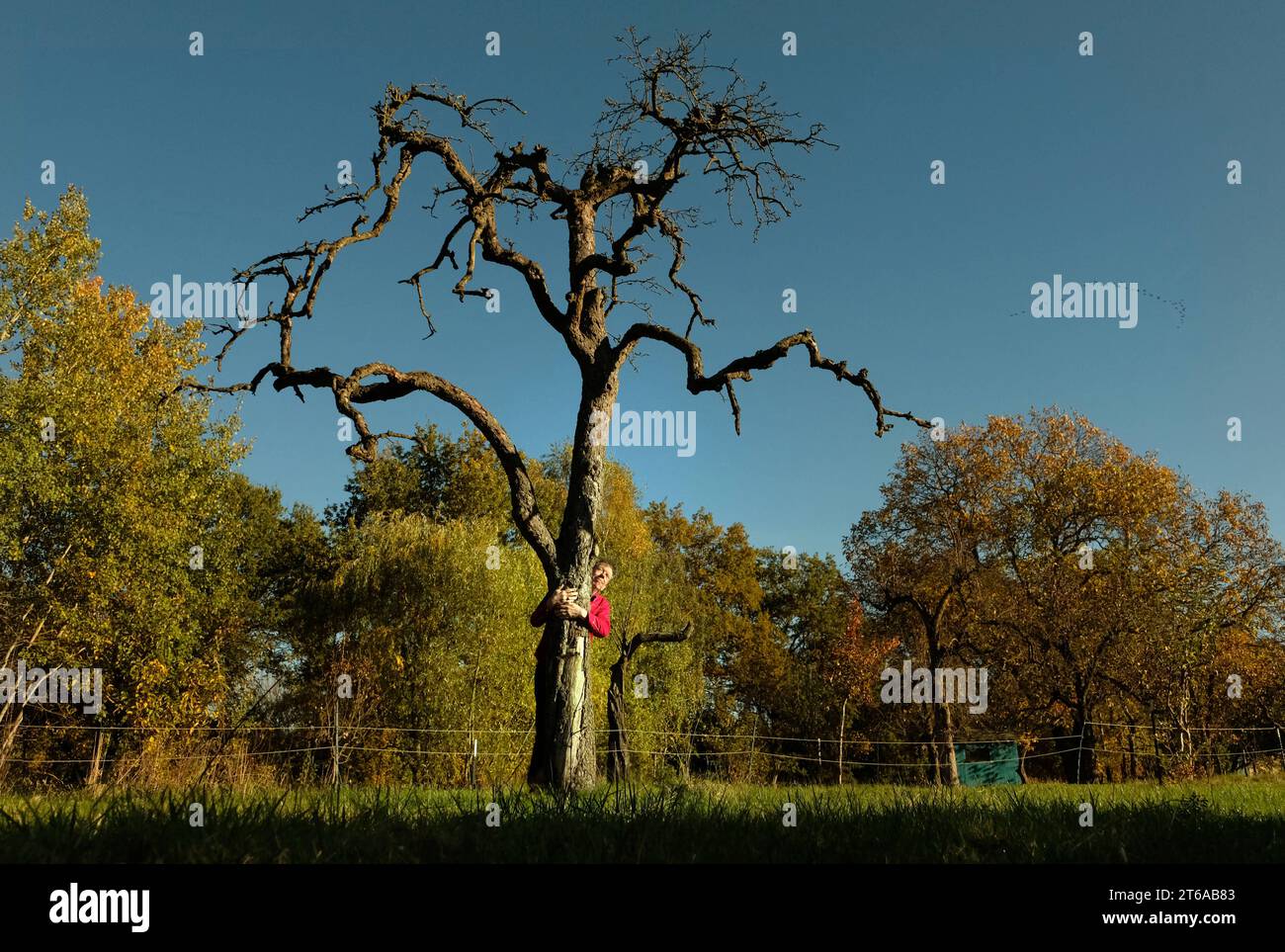 Mein alter freund hi-res stock photography and images - Alamy