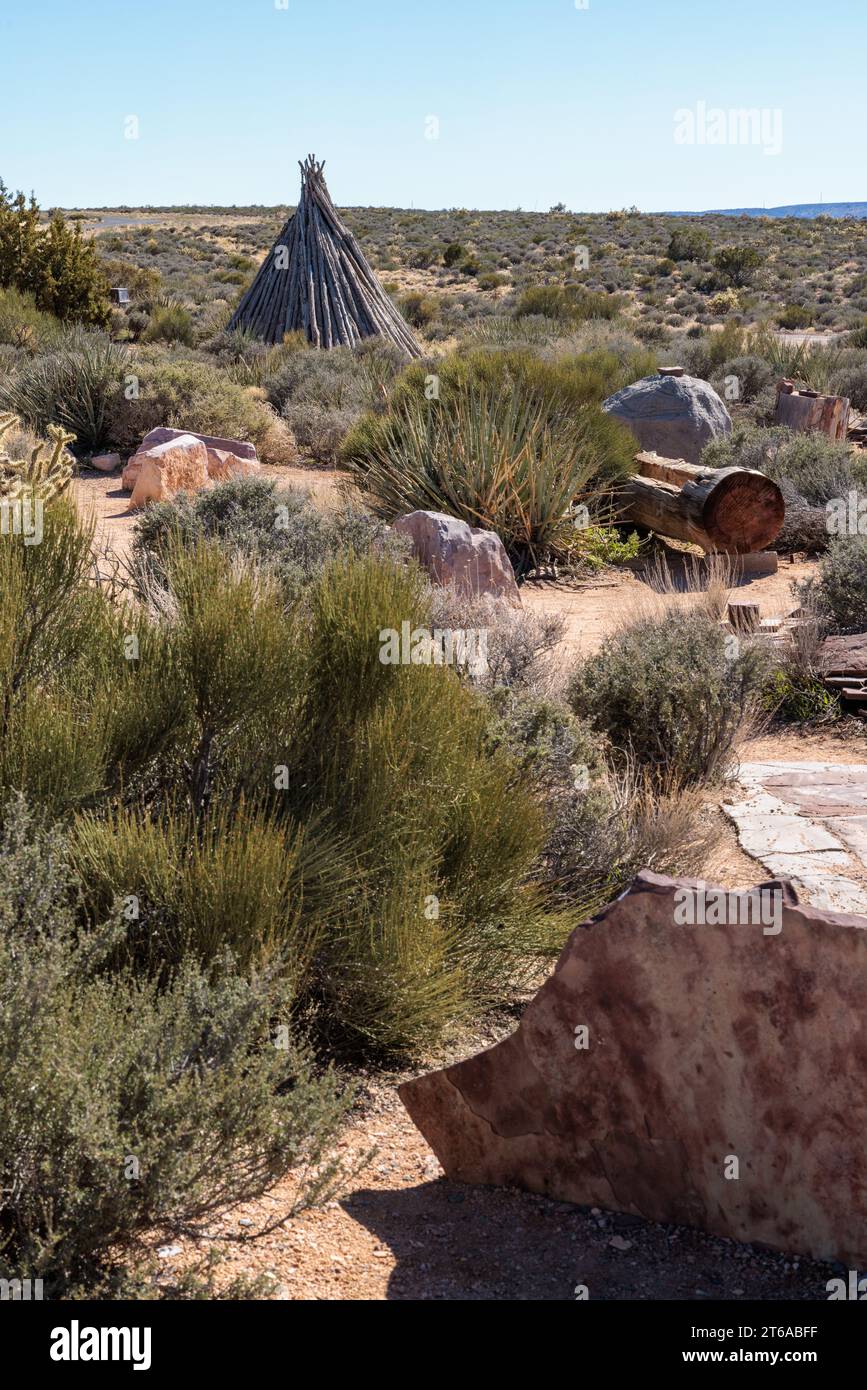 Native American cultural exhibits and natural flora at Grand Canyon ...