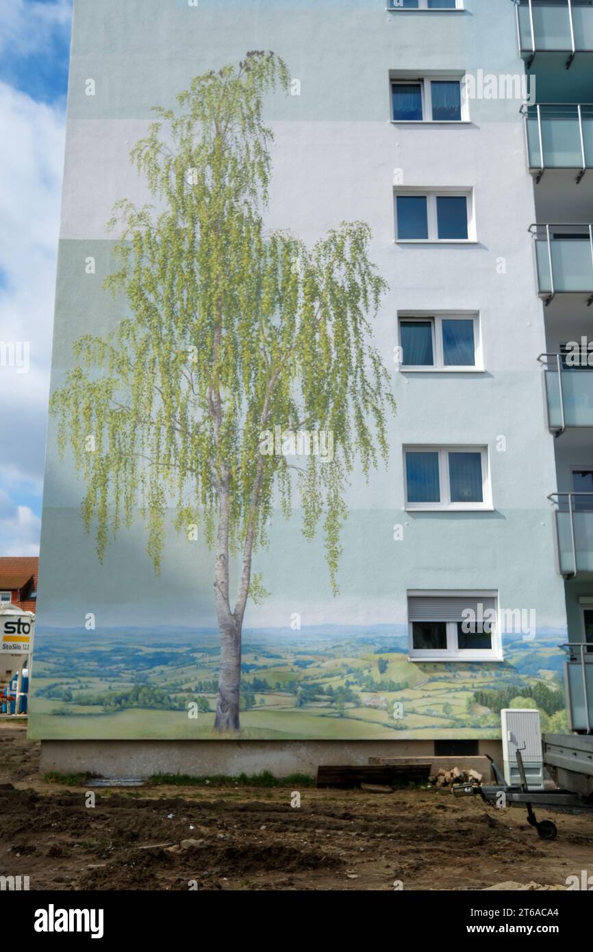lovely rural German landscape mural streetart painting of a birch tree ...