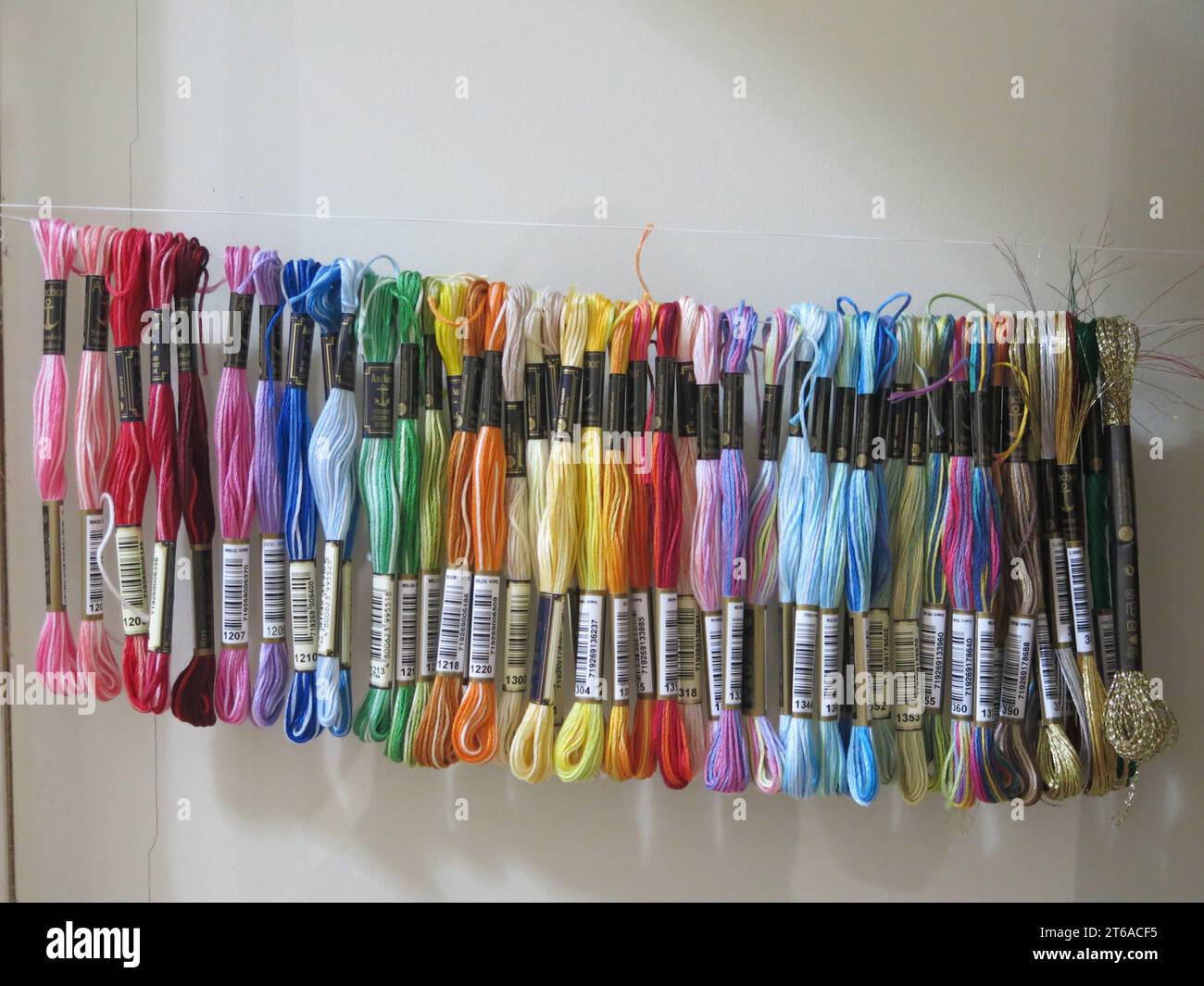 A row of multi-coloured embroidery 'Anchor' stranded cotton threads ...