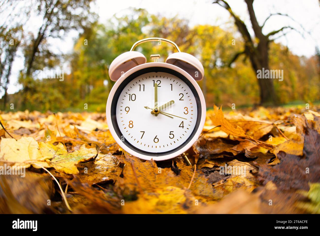 World earth hour, alarm clock stands in the forest, turn off lights ...