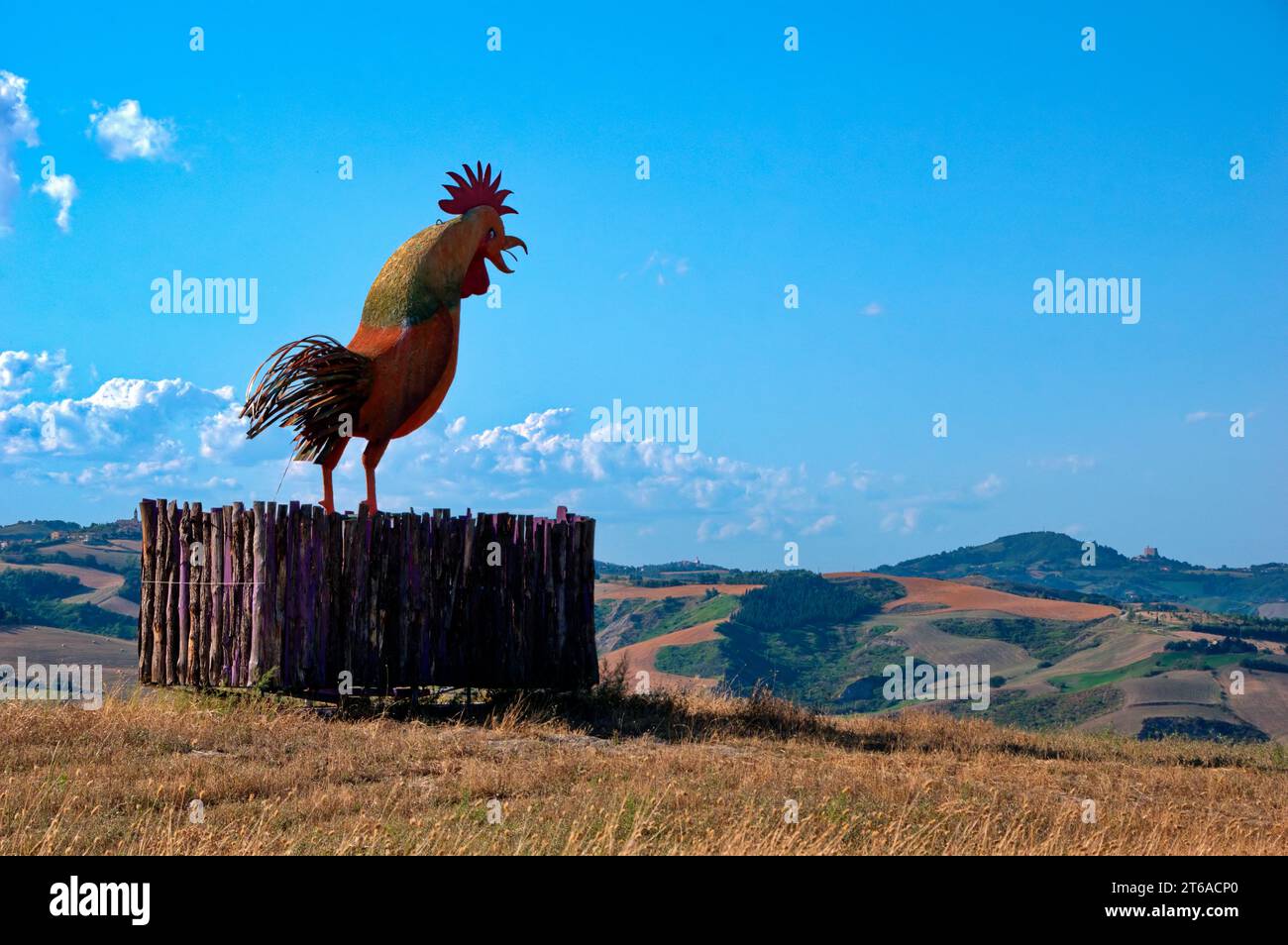 Gallo gigante hi-res stock photography and images - Alamy
