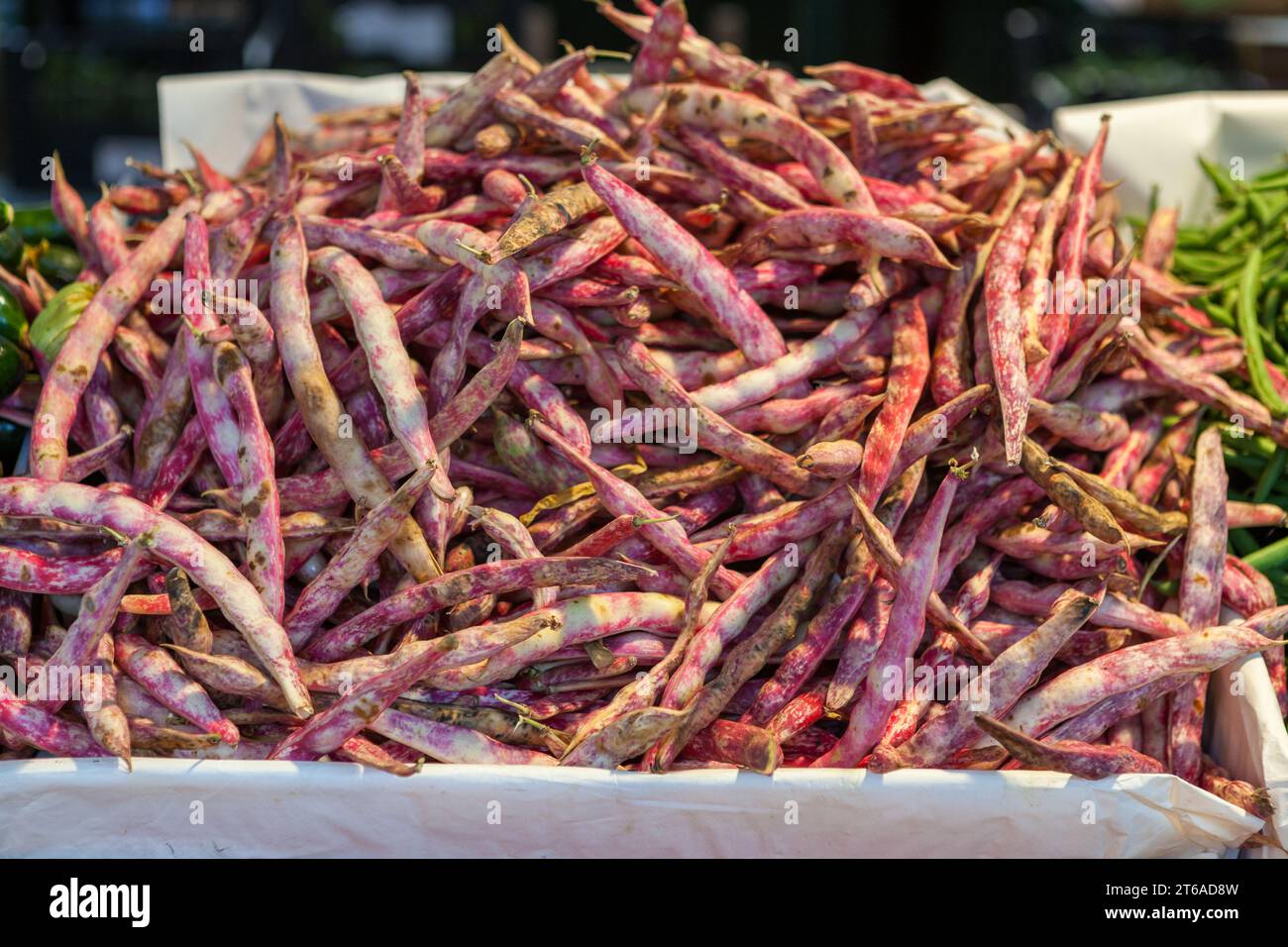 Actual venice hi-res stock photography and images - Alamy