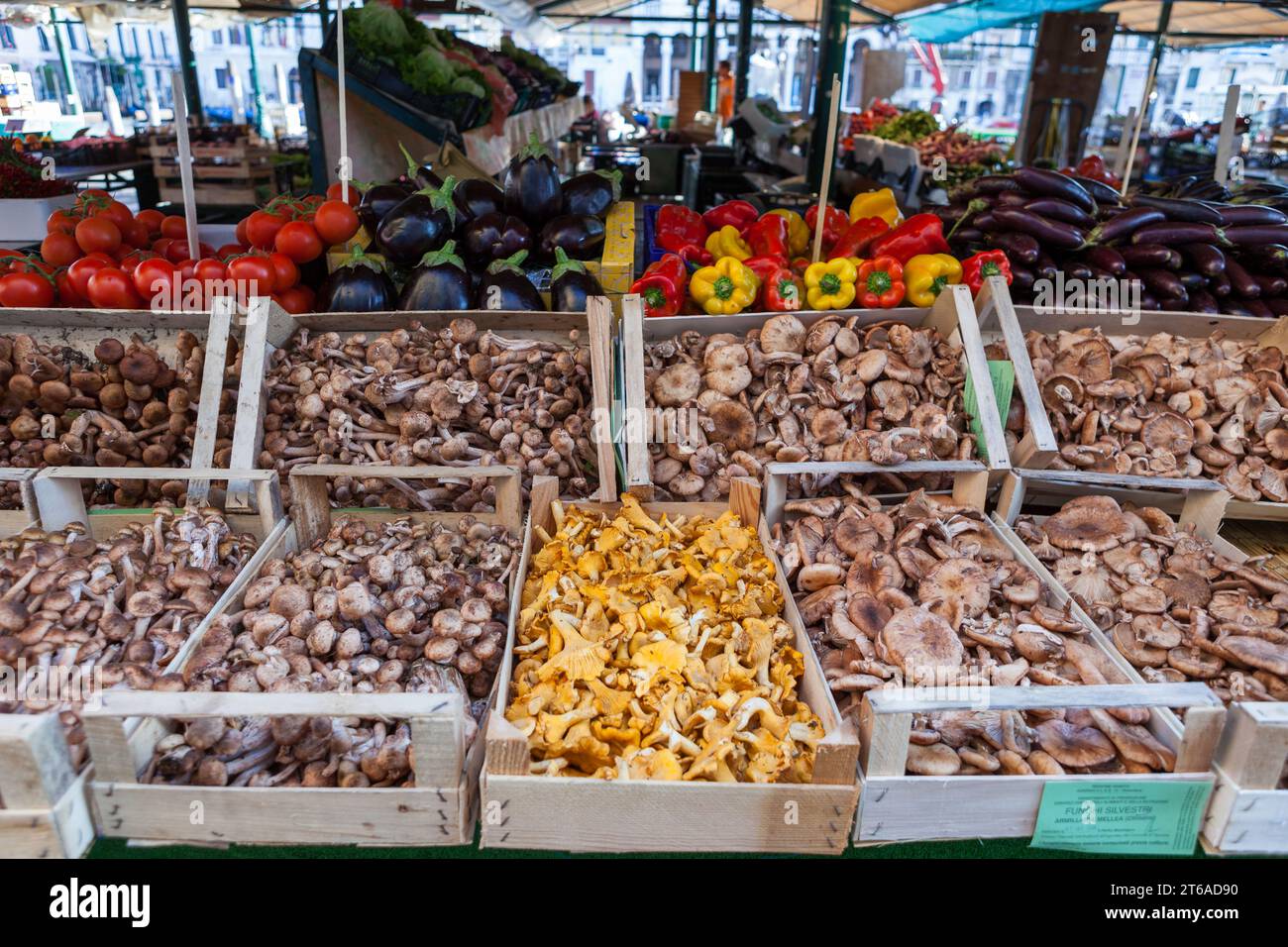 Mushroom stall at the Rialto market in Venice, Italy Stock Photo - Alamy