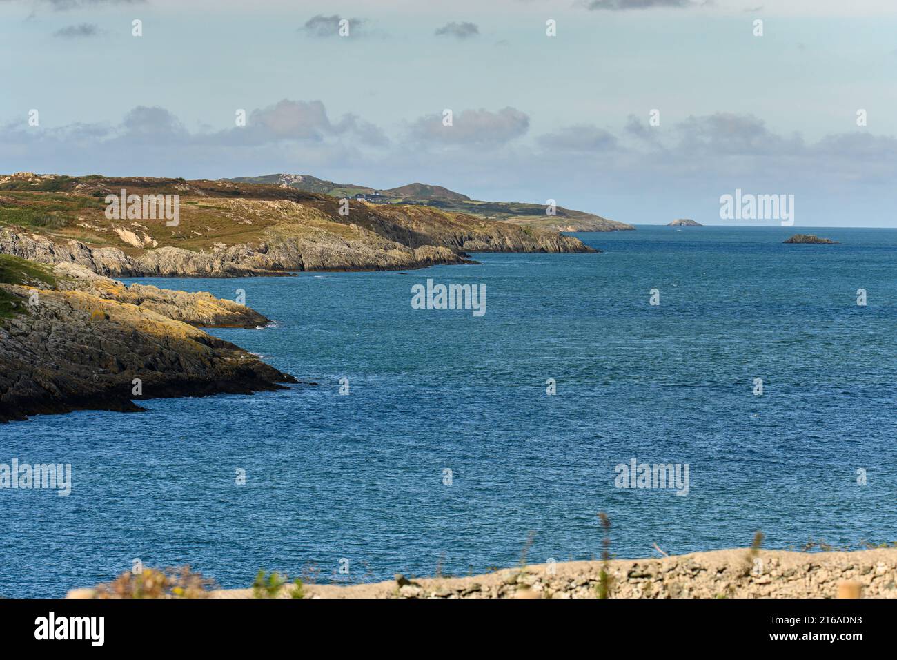 Llam hi-res stock photography and images - Alamy