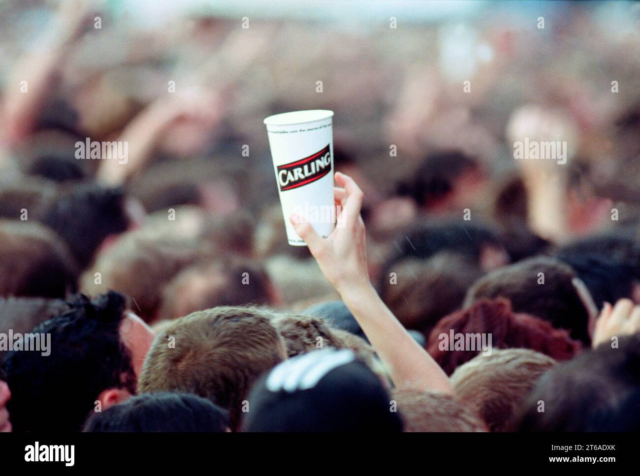 Carling lager cup being held aloft amongst the music festival crowd ...