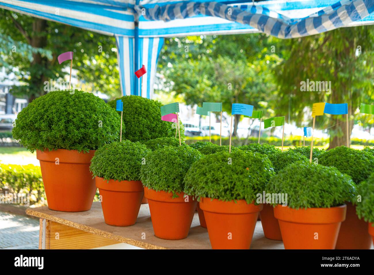 Porto san antonio hi-res stock photography and images - Alamy