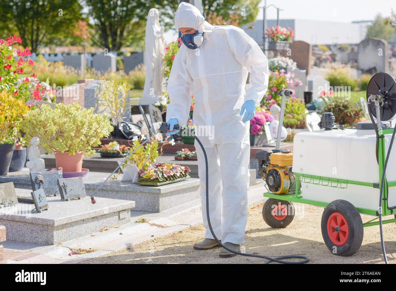 professional man cleaning the cemetery Stock Photo - Alamy