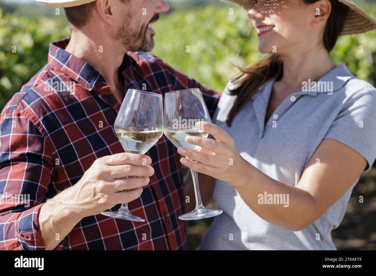 couple sampling and tasting wines in vineyard Stock Photo - Alamy