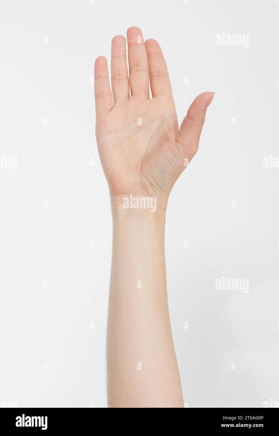 hand isolated on white.Voting hand. Mock up. Copy space. Template ...