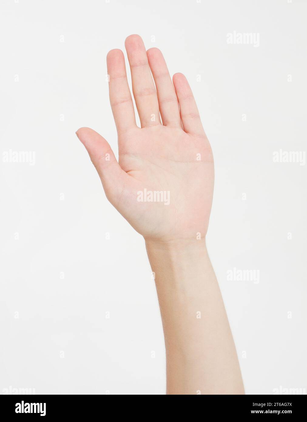 hand isolated on white.Voting hand. Mock up. Copy space. Template ...