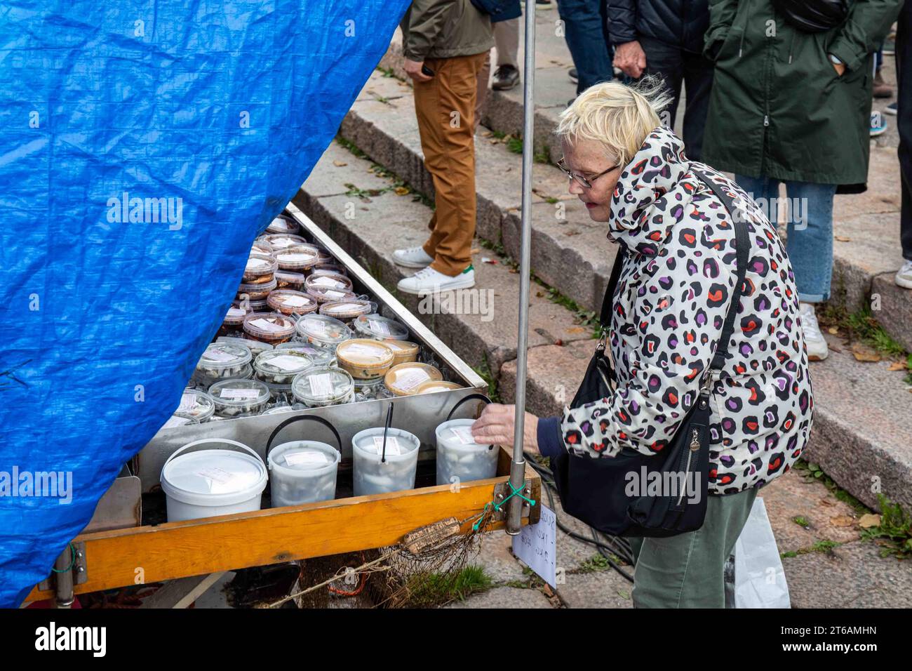 Baltic woman hi-res stock photography and images - Alamy