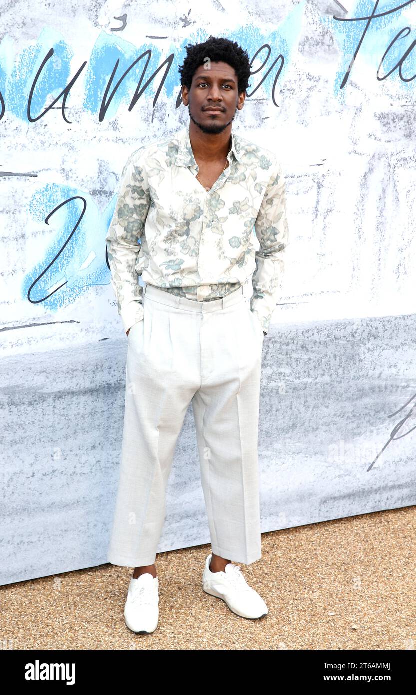 Labrinth attends The Summer Party 2019 Presented By Serpentine ...
