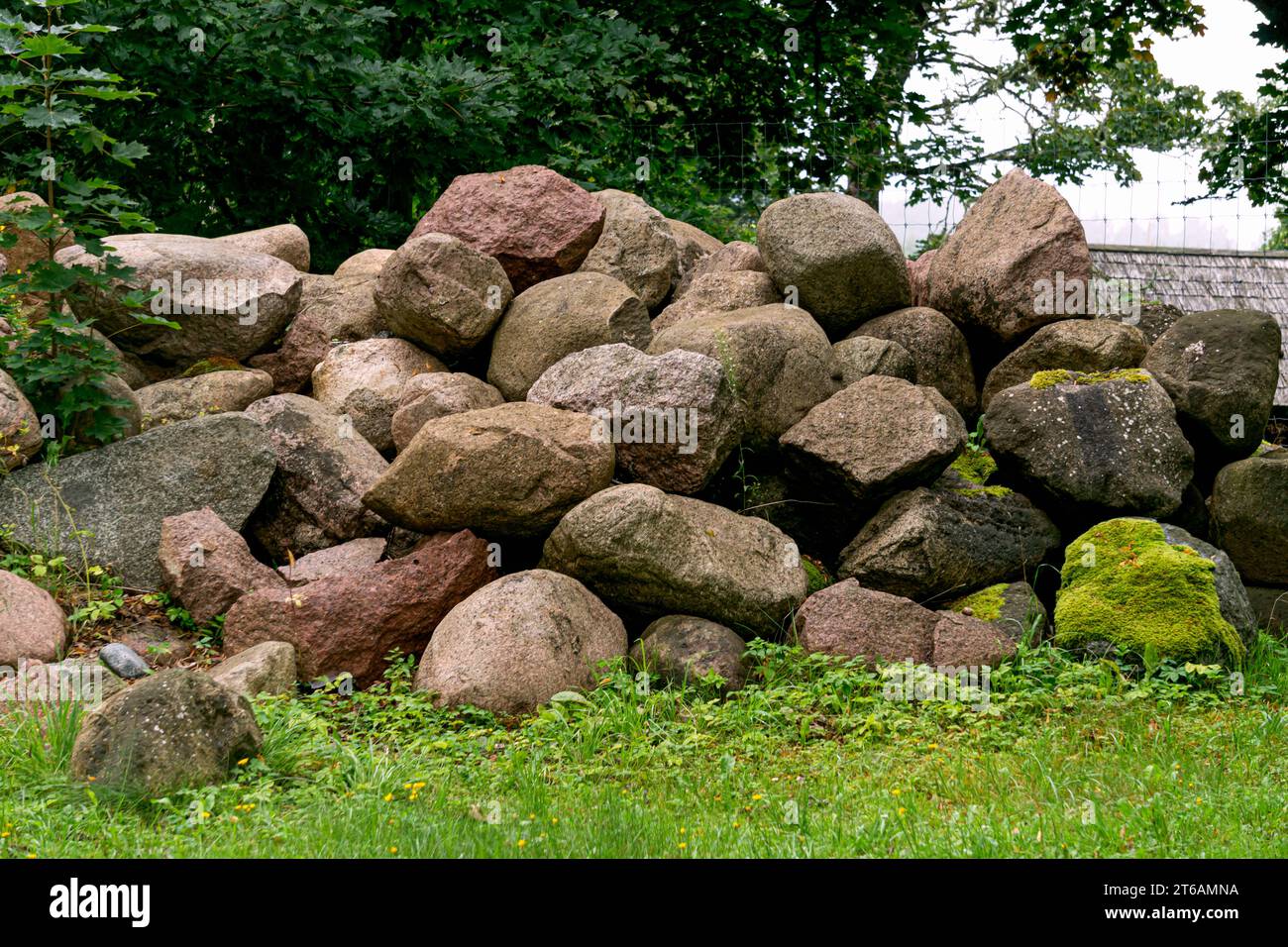 Large pile timber from hi-res stock photography and images - Alamy
