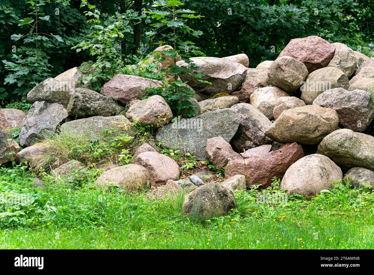 Large pile timber from hi-res stock photography and images - Alamy