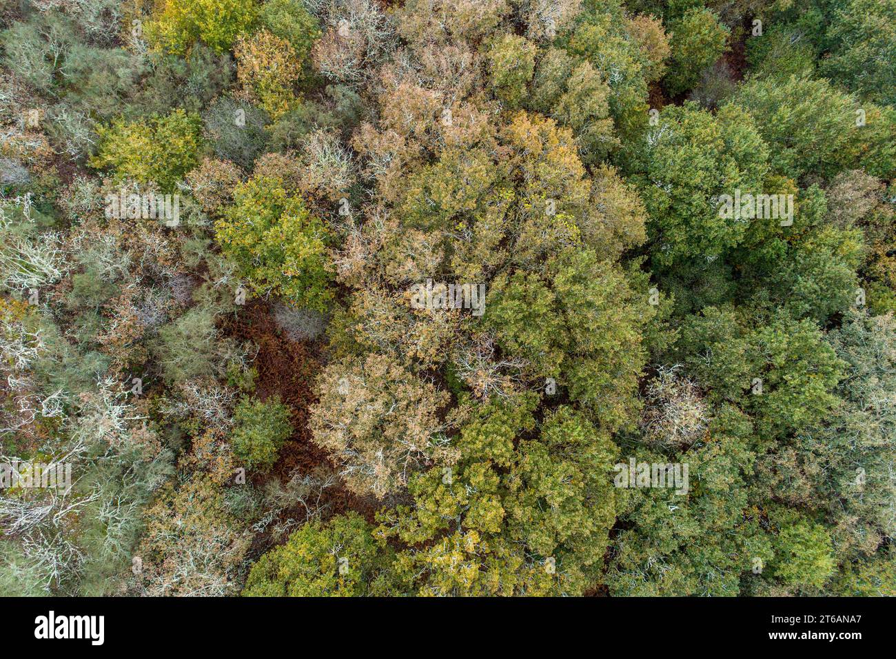 High flying drone overhead view hi-res stock photography and images - Alamy