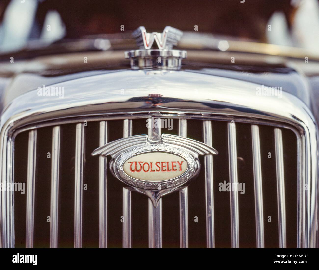 Wolseley Car Radiator and Badge Stock Photo - Alamy