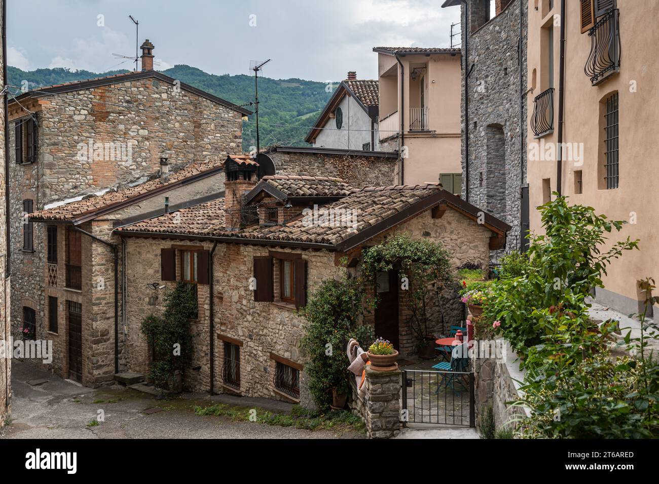 A peaceful alleyway in a rural village with lush vegetation and ...