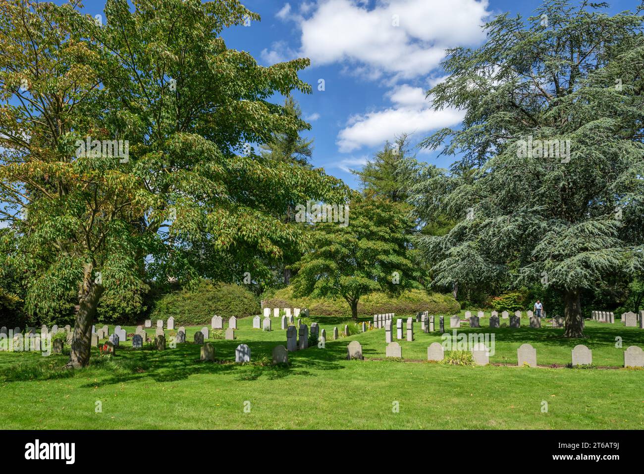 World war 1 dead graves hi-res stock photography and images - Alamy