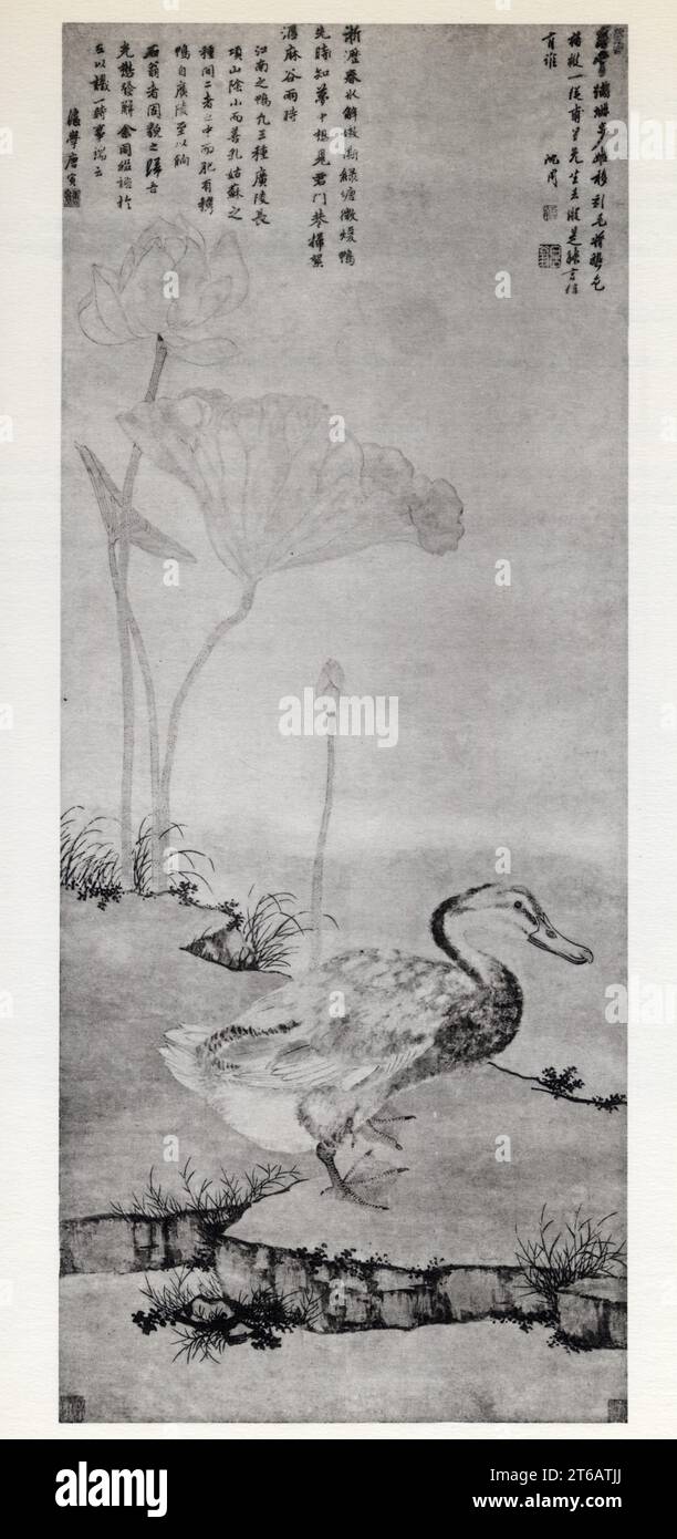 Che wong hi-res stock photography and images - Alamy