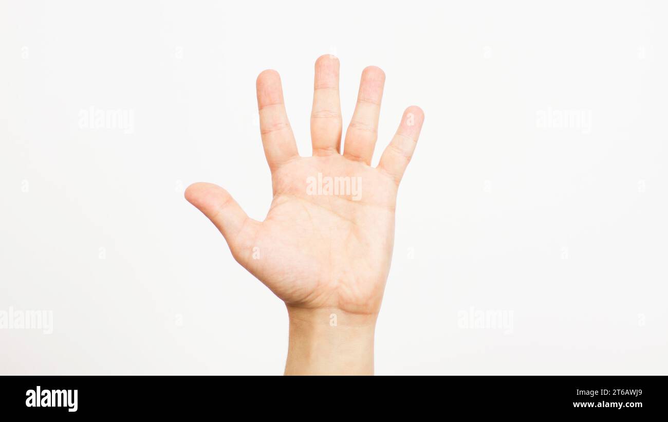 Man hand showing five fingers on white background. Human arm - five ...