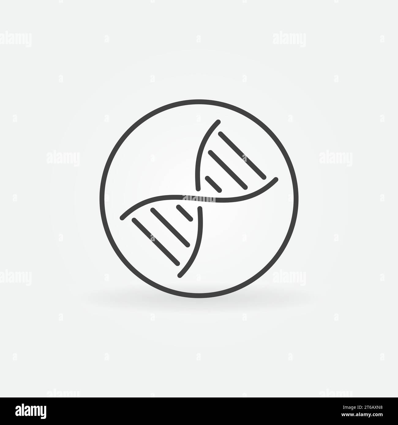 DNA double helix in circle vector concept outline icon or design ...